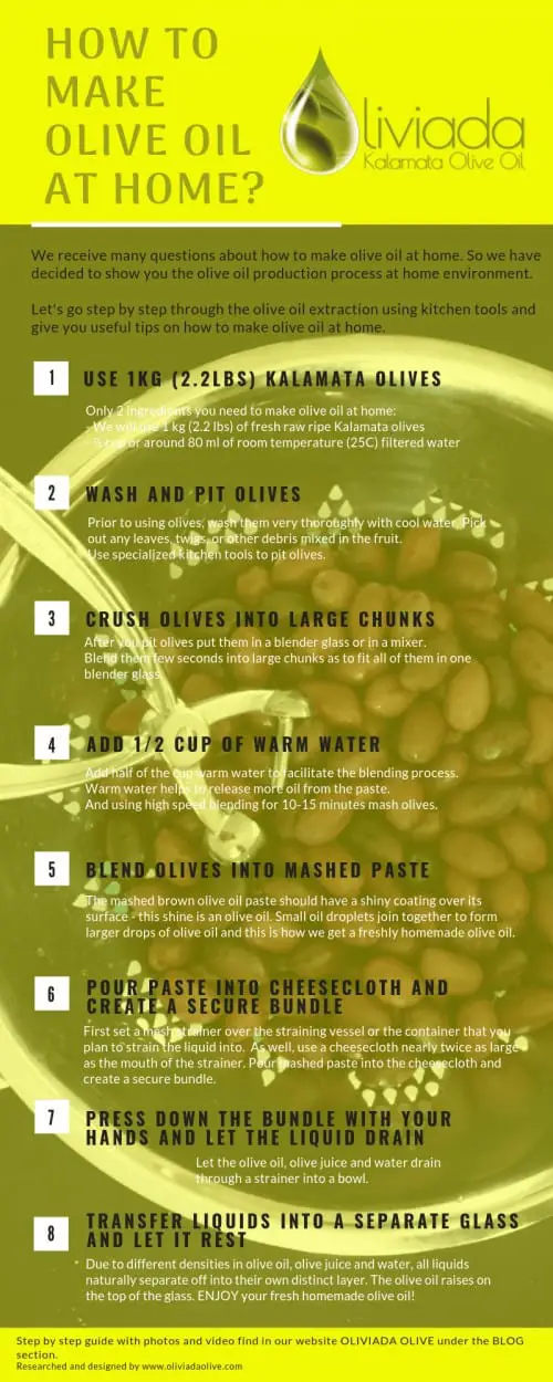 How To Make Olive Oil At Home Diy Guide By Oliviada