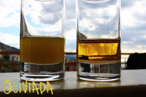 Olive Oil Brands To Trust & How To Choose Olive Oil Wisely: A Buyer’s Guide