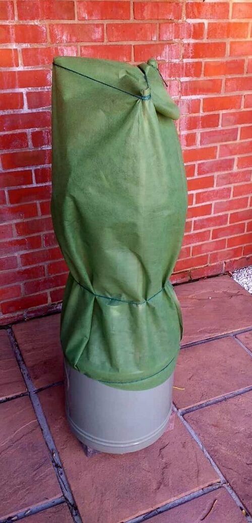 How To Revive Olive Tree: The Ultimate Guide