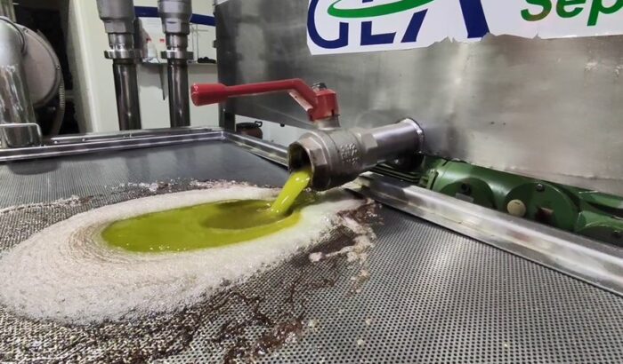 How To Make Olive Oil At Home: DIY Guide By Oliviada